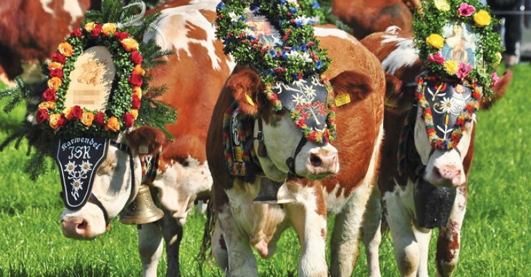 Transhumance au Tyrol & Fête Paroissiale à Kramsach - Voyages Catteau